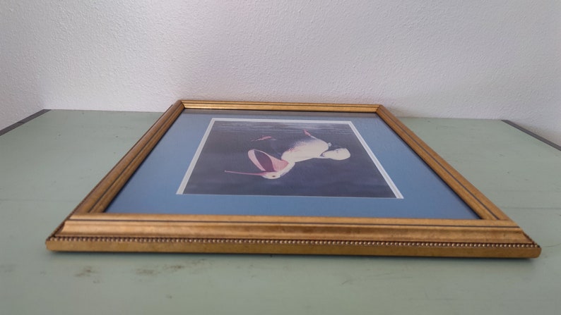 Wendy Shattil and Bob Rozinski Photography Dancing Pelican - Etsy