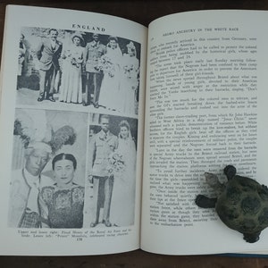 Nature Knows No Color-line J A Rogers 1952 Third Edition - Etsy