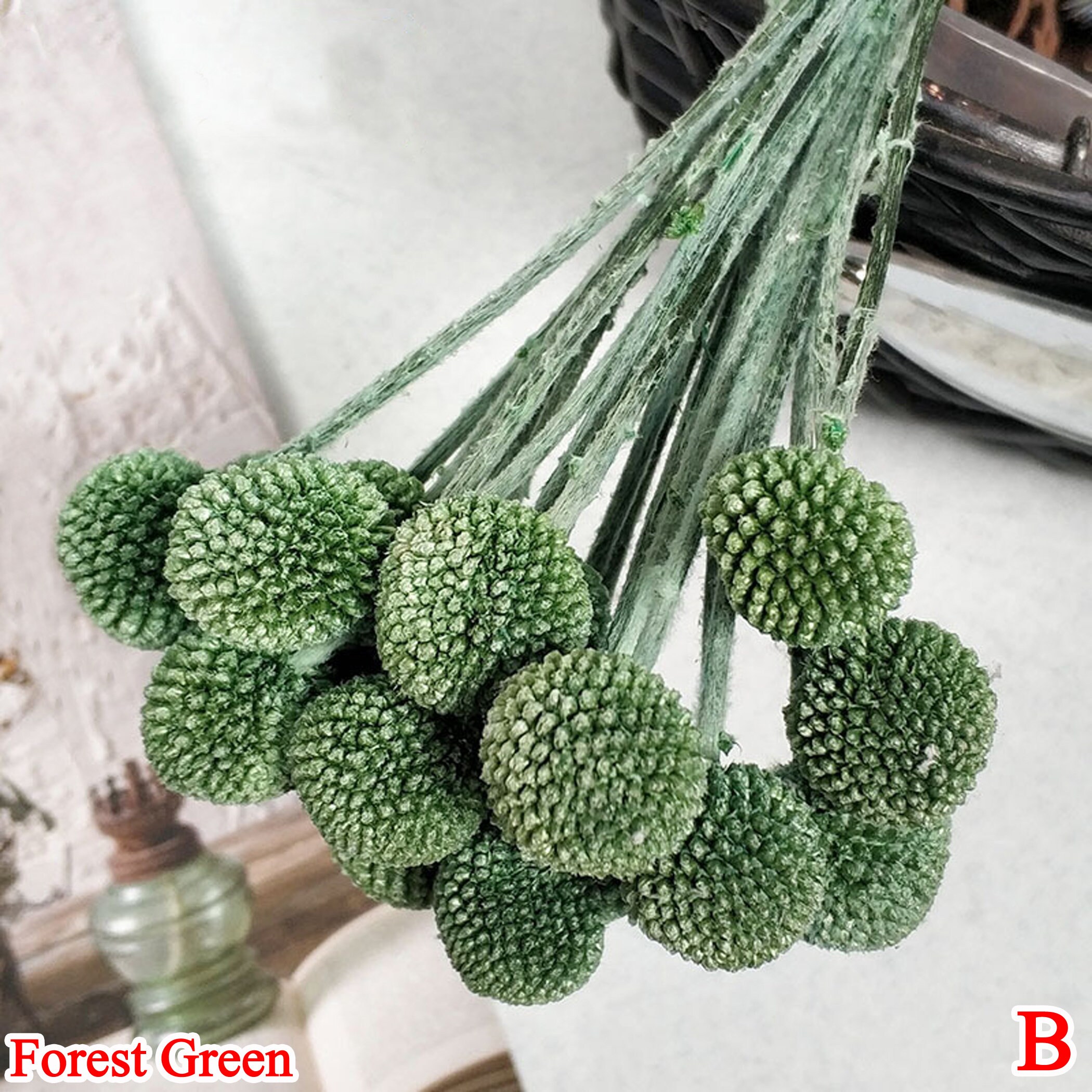 Billy Button Balls Protean Preserved Flowers 40 CM Tall - Etsy