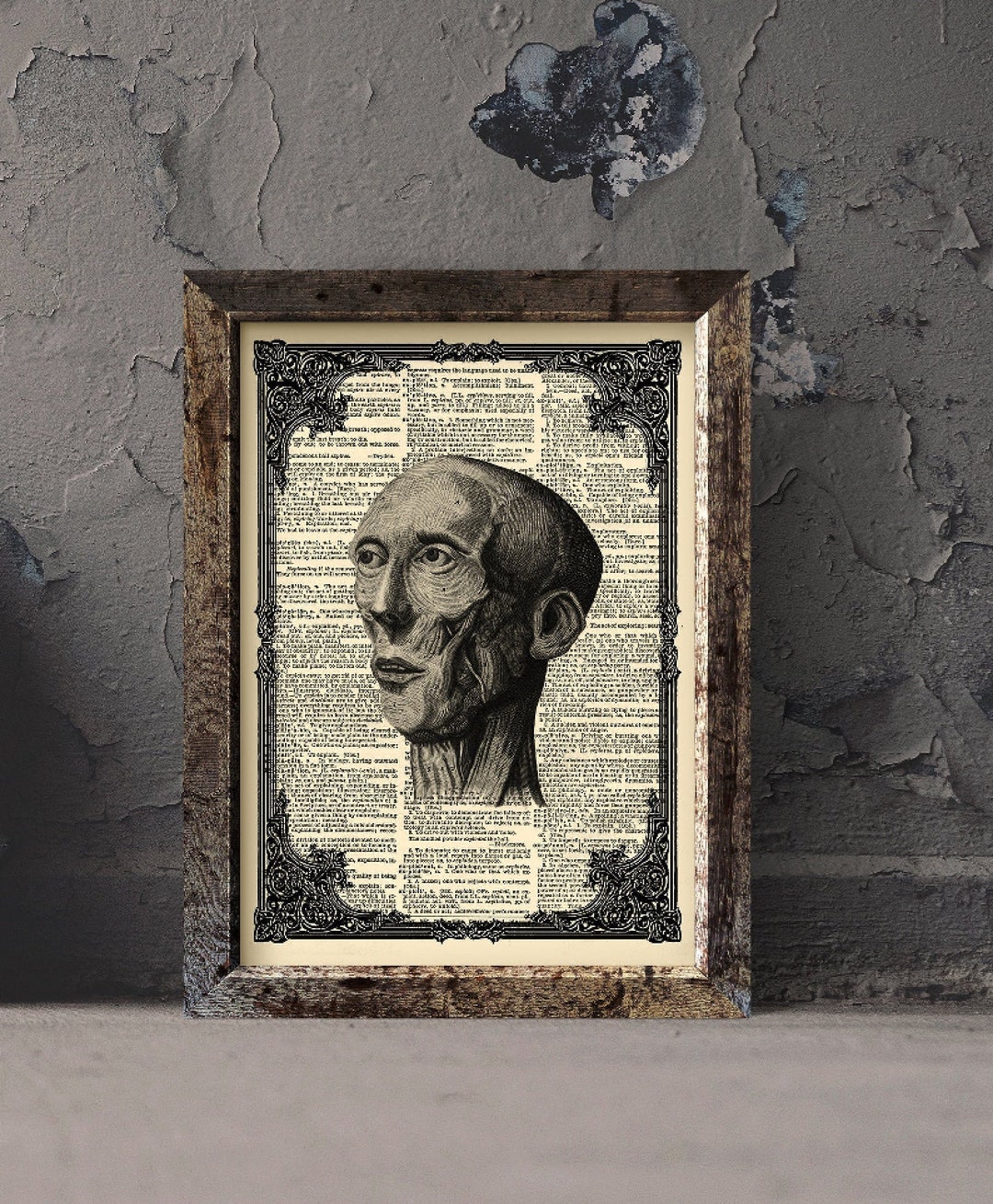 Skinless Face Anatomy Gothic Macabre Occult Creepy Medical Art Print ...