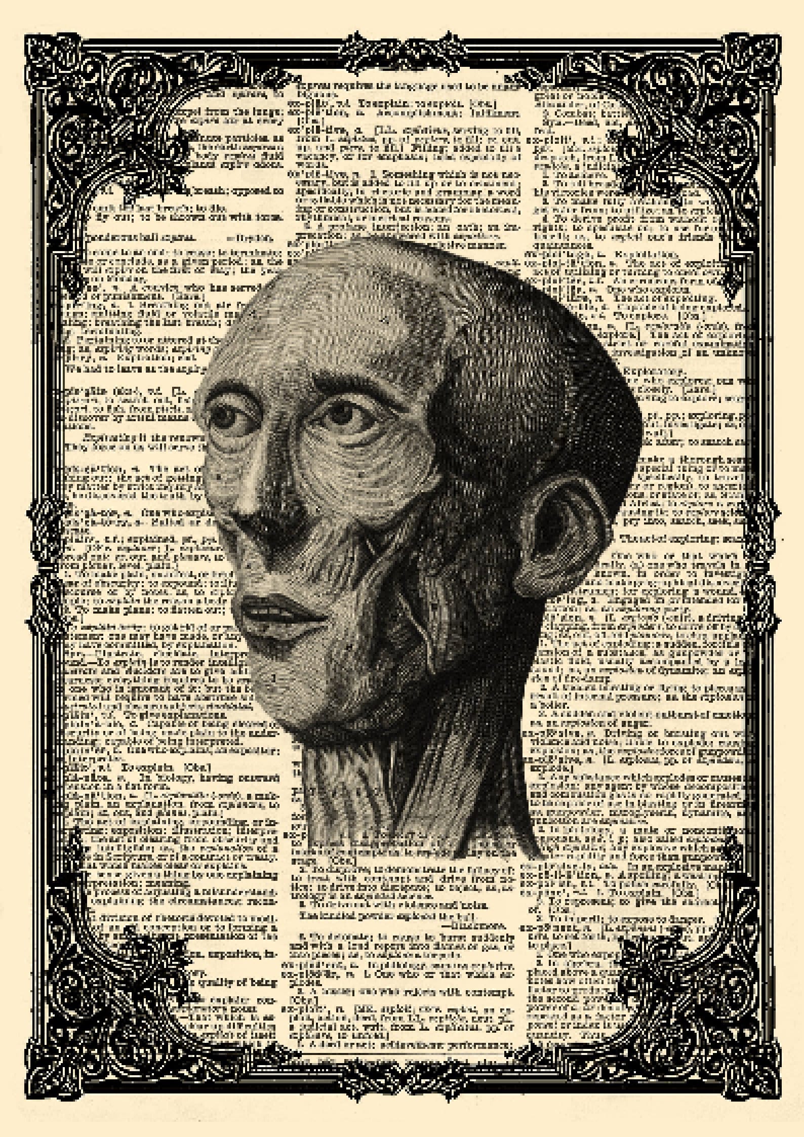 Skinless Face Anatomy Gothic Macabre Occult Creepy Medical Art - Etsy