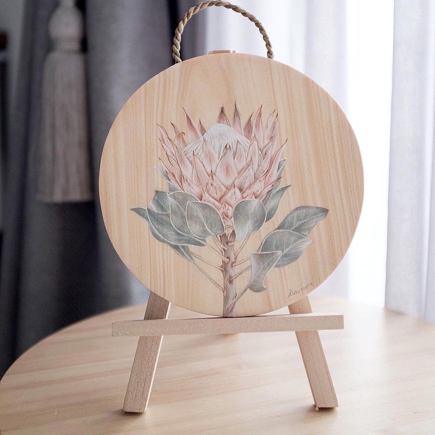 Pencil Color Drawn Protea Flower on Round Pine Wood Painting - Etsy