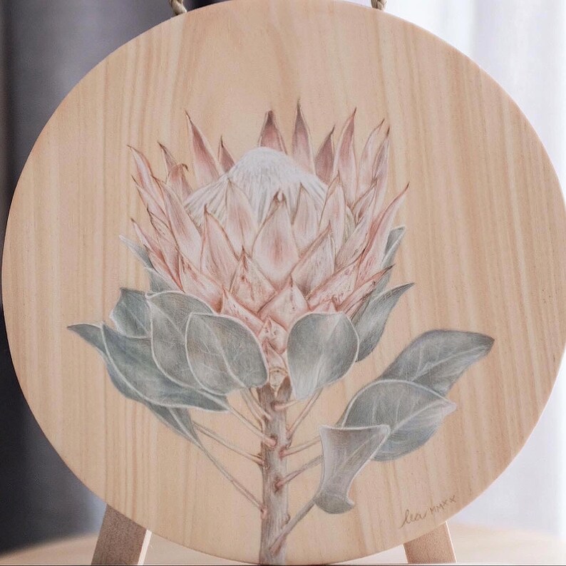 Pencil Color Drawn Protea Flower on Round Pine Wood Painting - Etsy