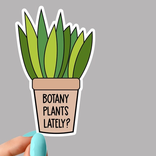 Funny Plant Sticker 1 Sticker Potted Plants Succulent - Etsy