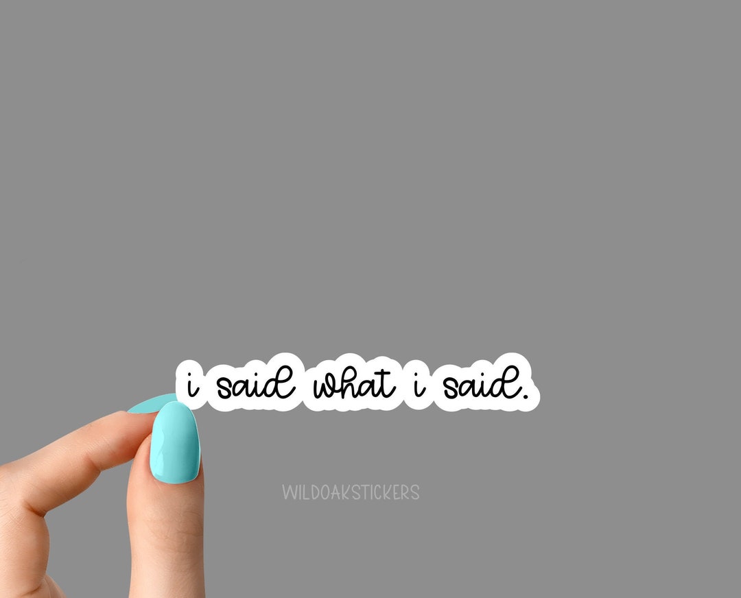 I Said What I Said Laptop Sticker, Funny Stickers, Sarcasm Stickers ...