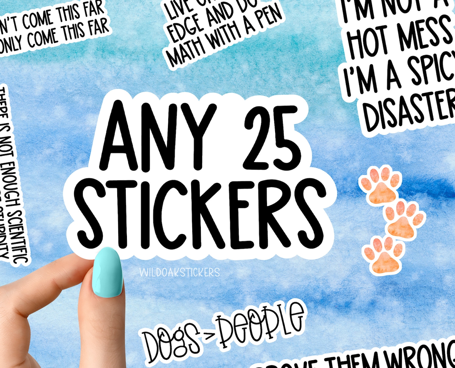 Any 25 Stickers, Sticker Bundles, Vinyl Stickers for Laptops, Water ...