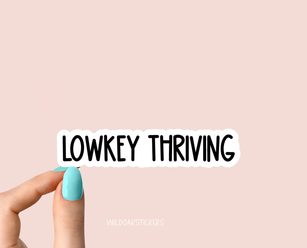 Lowkey Thriving Stickers, Happy Sticker Grind Entrepreneur Laptop ...