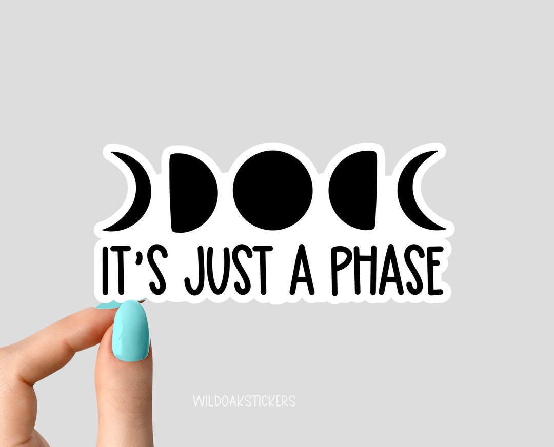 Its Just a Phase Moon Phases Stickers, Astronomy Science Stickers for ...