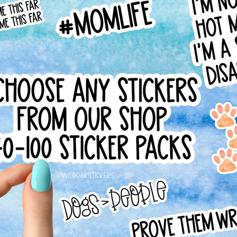 100 Sticker Pack - Etsy