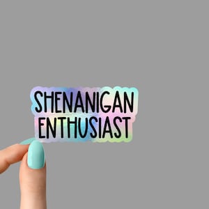 Shenanigan Enthusiast Laptop Stickers, Funny Stickers, Sarcasm Laptop ...