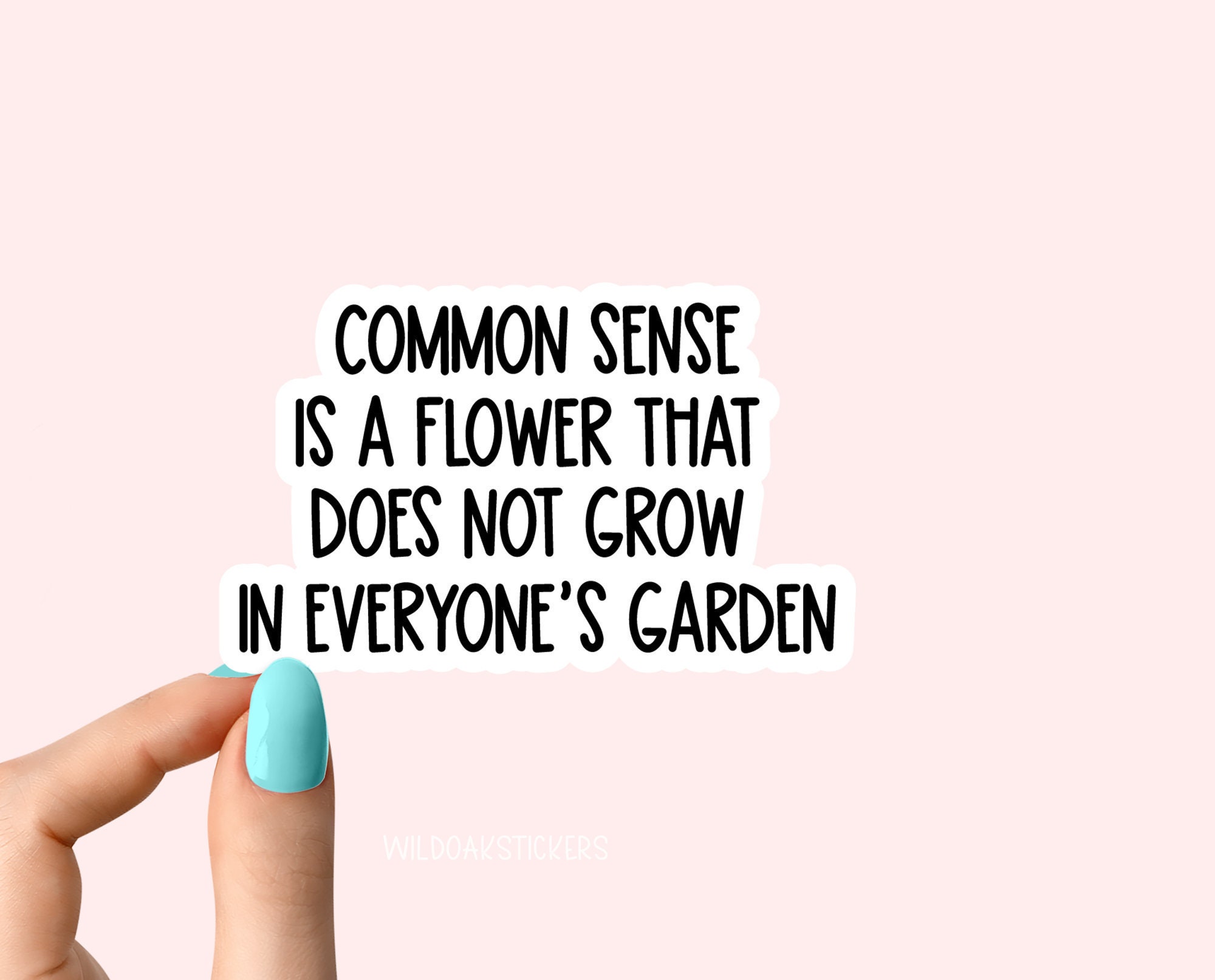 Common Sense Joke Sticker Funny Sticker Common Sense Laptop - Etsy