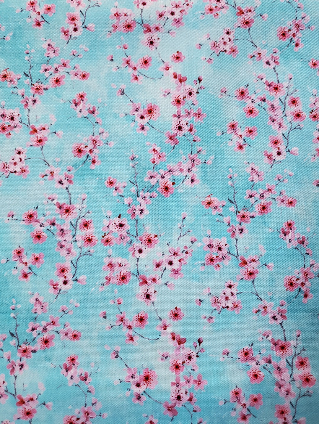 Cherry Blossoms. Cotton Fabric by Timeless Treasures. Pink Blossoms on ...