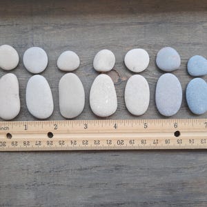 Pebble People Art Supplies, Set of 8 Pebble People, Beach Pebble Person ...