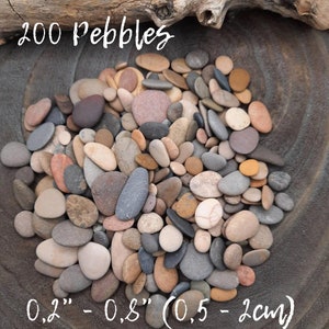 Bulk of 200/300 Tiny Pebbles, Flat & Colorful Genuine Beach Stones ...
