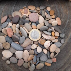 Bulk of 200/300 Tiny Pebbles, Flat & Colorful Genuine Beach Stones ...