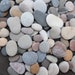 Bulk of 100 Pebbles, Flat & Colorful Genuine Beach Stones, Medium to ...