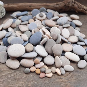 Bulk of 200/300 Tiny Pebbles, Flat & Colorful Genuine Beach Stones ...