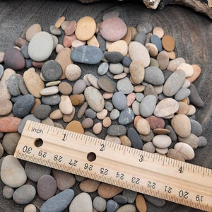 Bulk of 200/300 Tiny Pebbles, Flat & Colorful Genuine Beach Stones ...