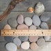 Bulk Large Pebbles, 20 Pieces, Smooth Genuine Beach Stones 1.3" - 1.8 ...