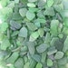 Bulk of 100 Pebbles, Flat & Colorful Genuine Beach Stones, Medium to ...