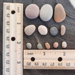 Bulk of 200/300 Tiny Pebbles, Flat & Colorful Genuine Beach Stones ...