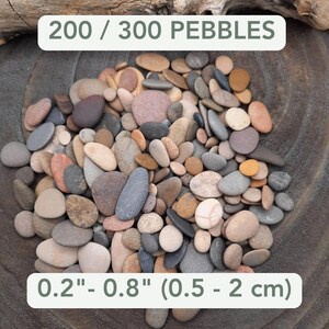 Bulk of 200/300 Tiny Pebbles, Flat & Colorful Genuine Beach Stones ...