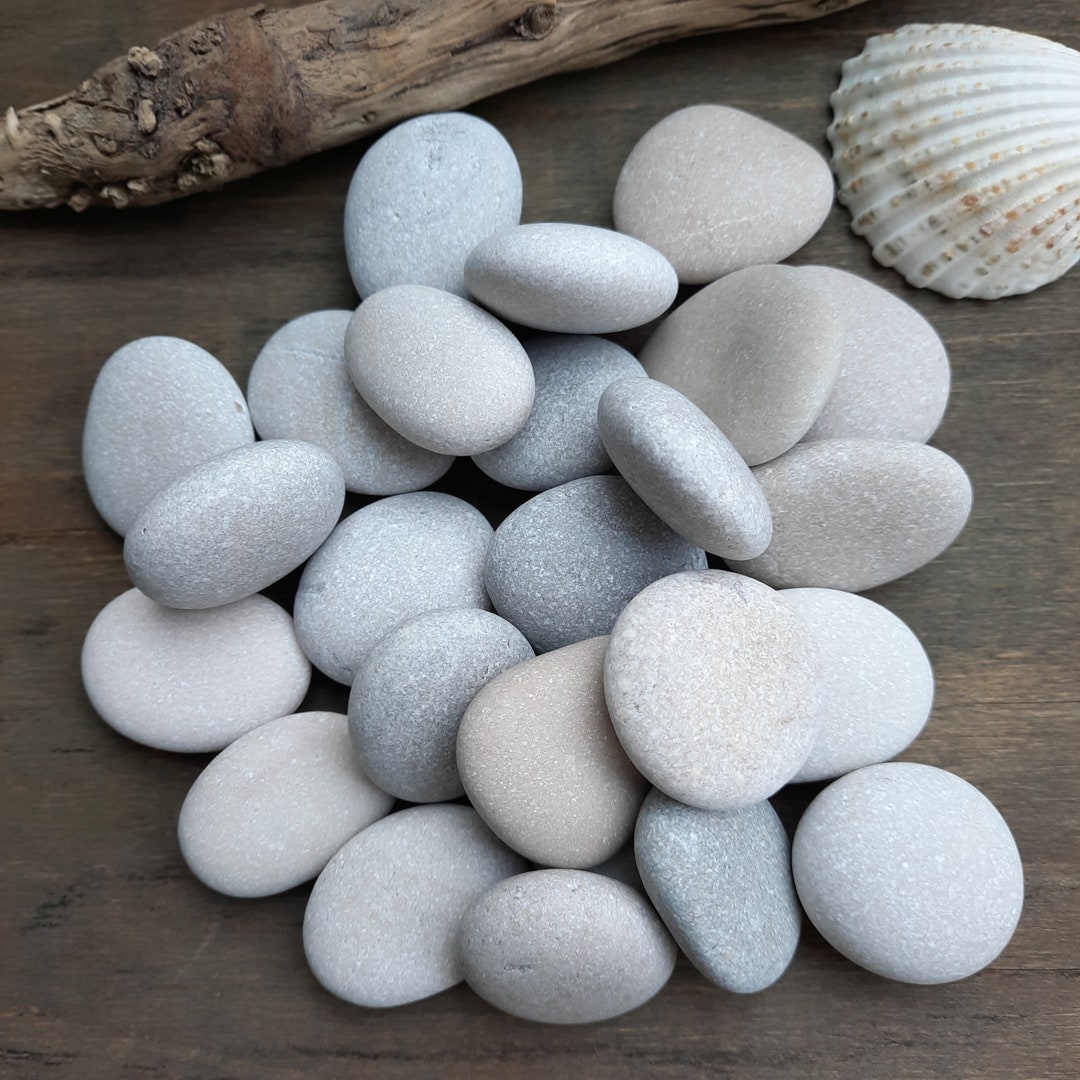 Bulk of 25 Pebbles, Thick Light Gray/beige Beach Stones, Medium 3-4 Cm ...