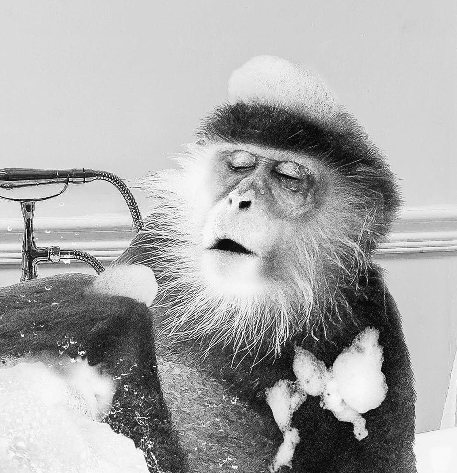 Monkey in a Tub Wall Decor Bathroom Monkey Taking Shower Cute Monkey ...