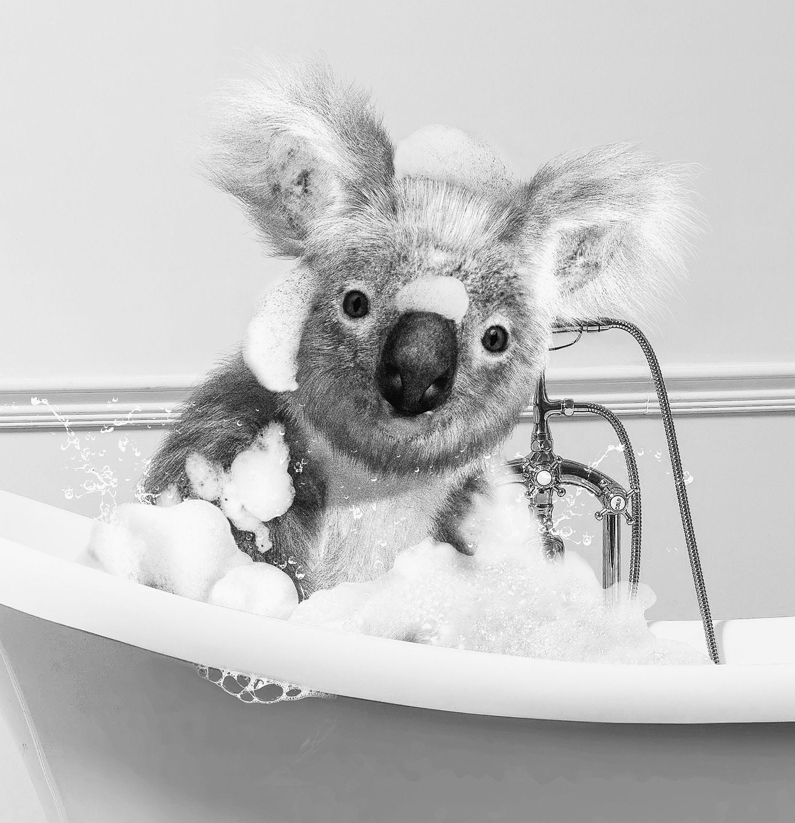 Koala Bear in a Tub Wall Decor Bathroom Koala Bear Taking Shower Cute ...