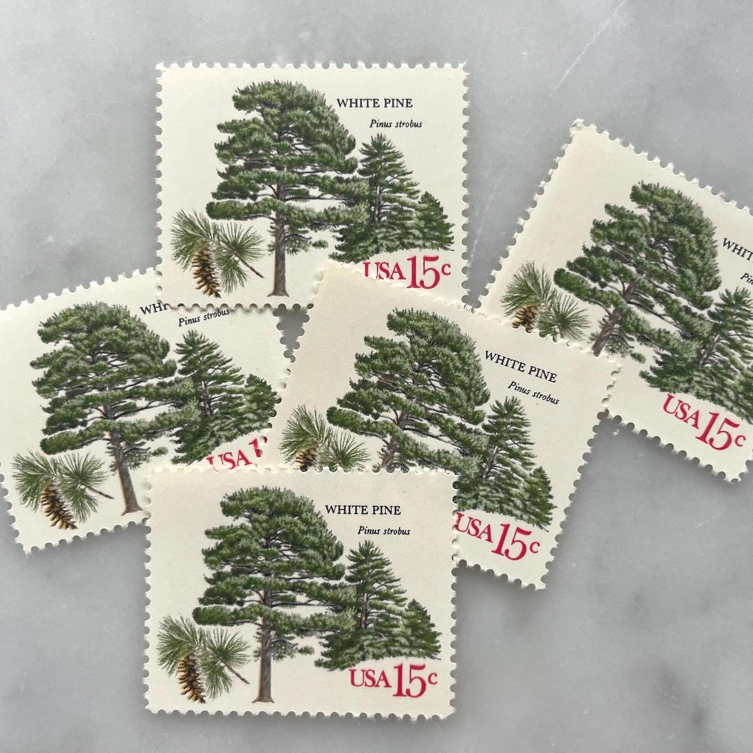 5x Vintage Unused American Trees Stamps / White Pine Green USPS Postage ...