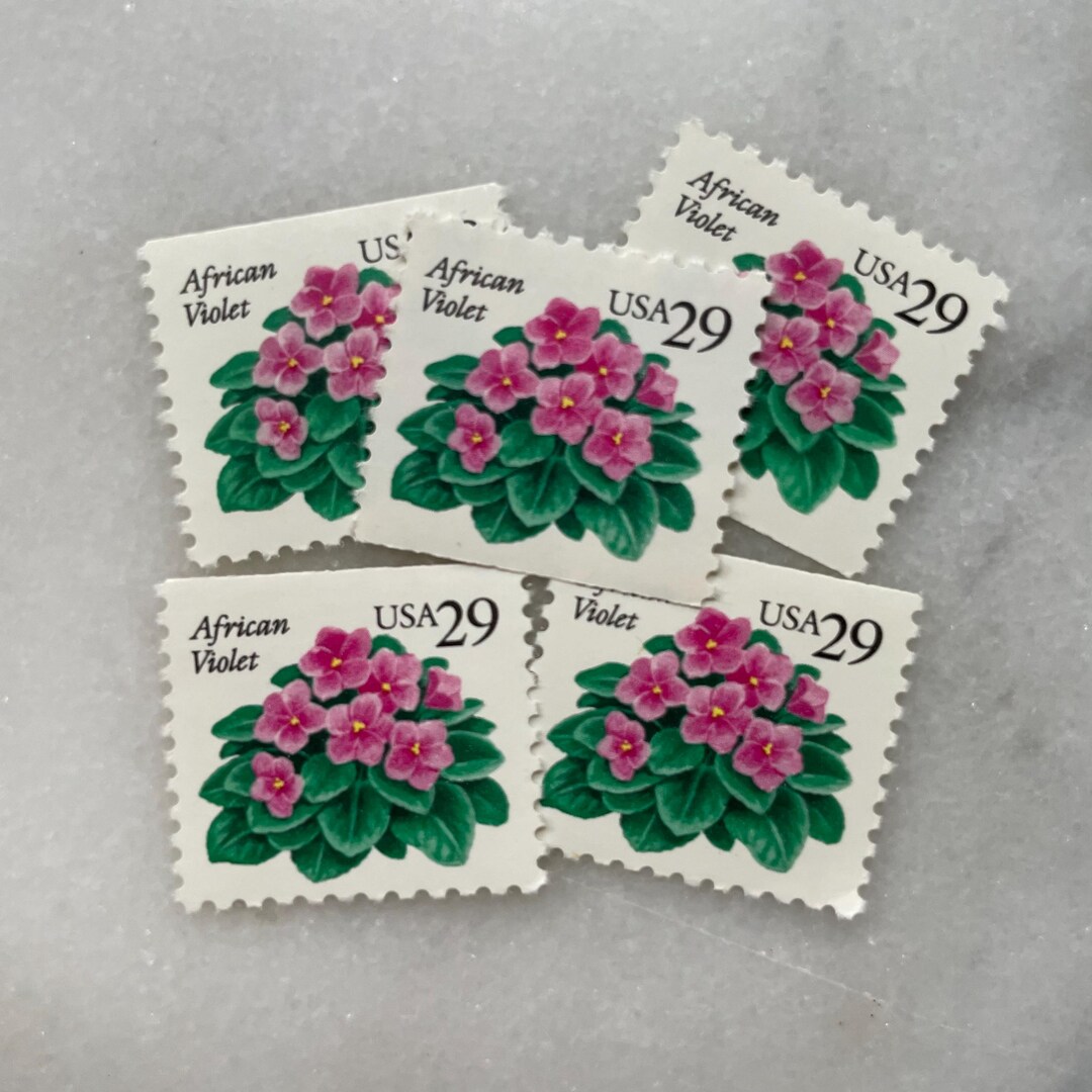 Vintage Unused African Violet Stamps / Pink Flower USPS Postage / 29 ...