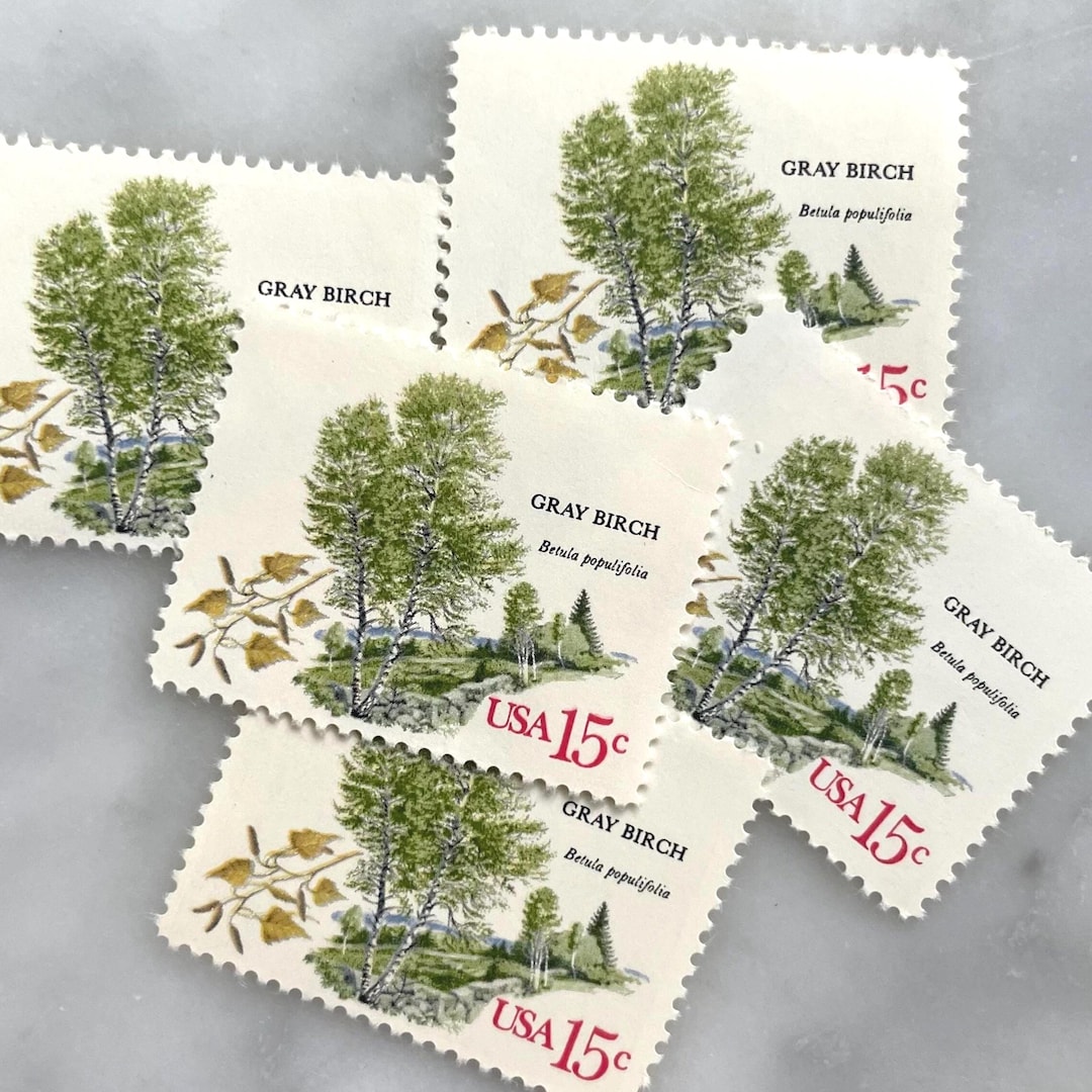 5x Vintage Unused American Trees Stamps / Gray Birch Green USPS Postage ...
