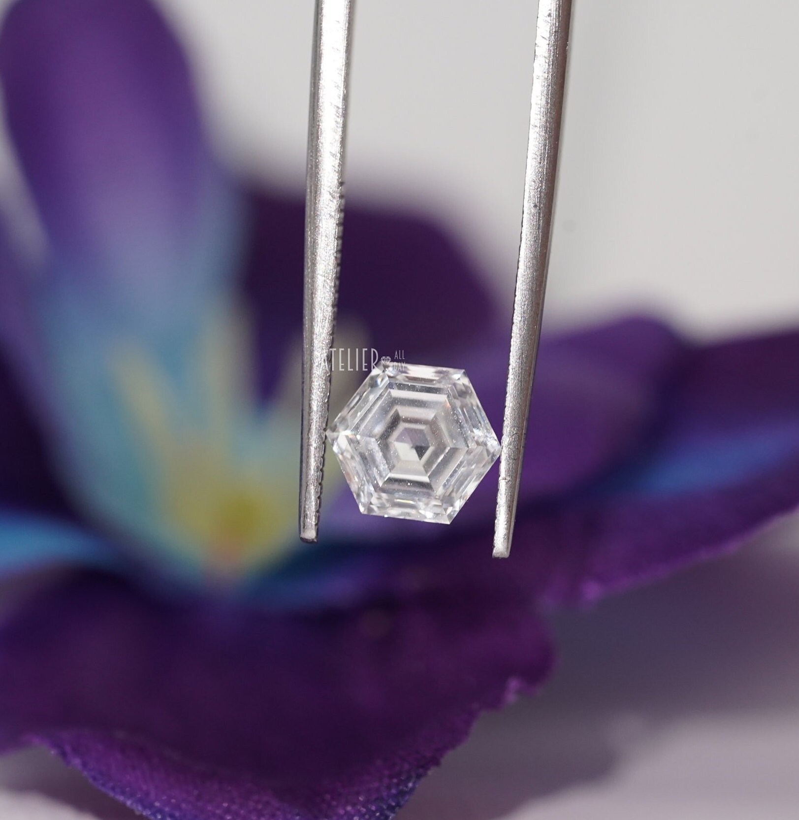 HIDDEN TREASURES Hexagonal Shape Lab Grown Diamond Loose Diamond for ...