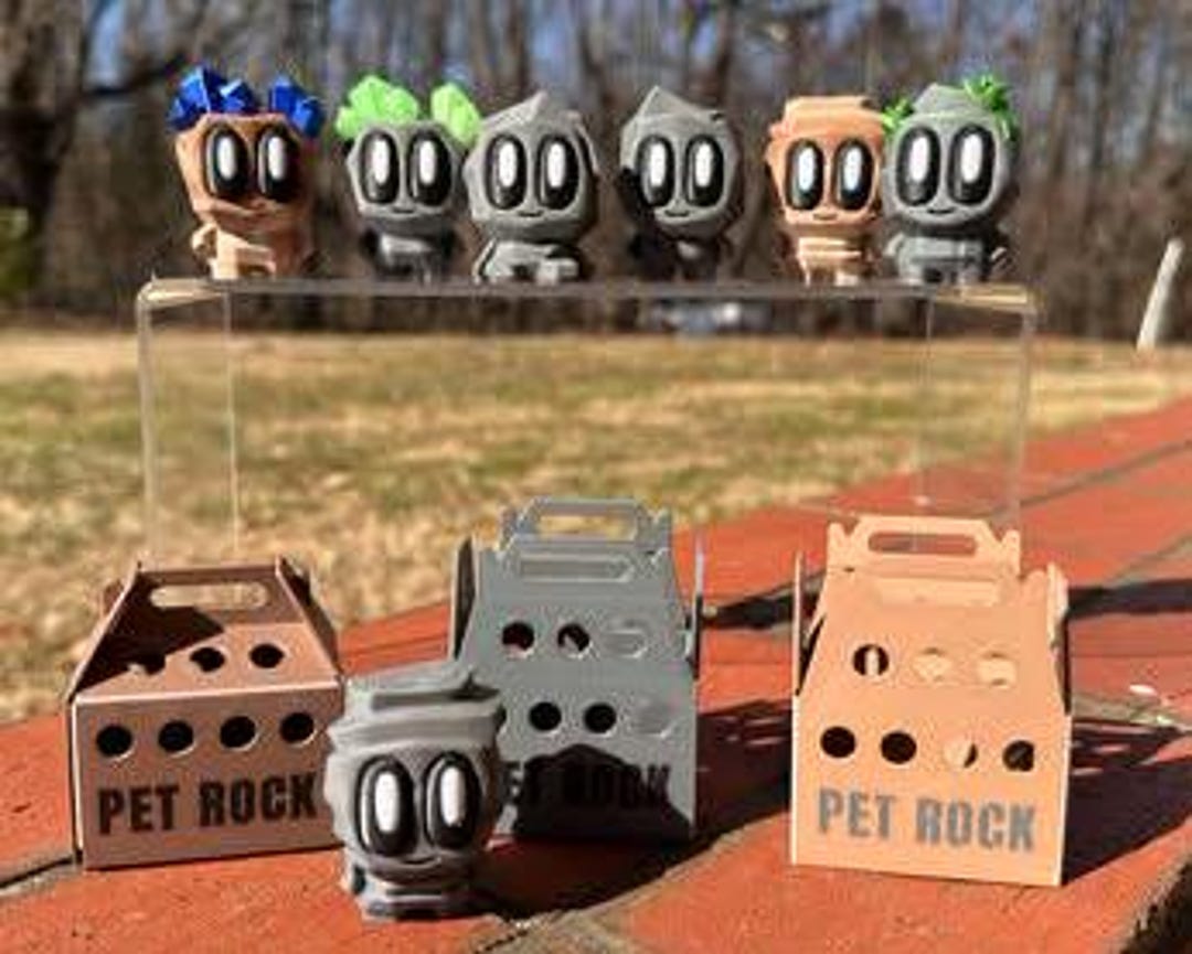 Pet Rocks, With Box, 3D Printed, Geodes, Sitting, Layered, Standing ...