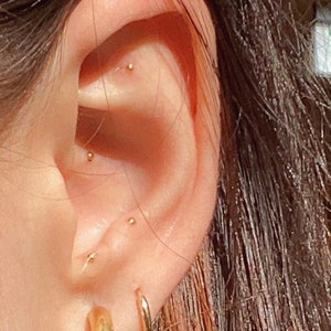 24K Gold Acupuncture Ear Seeds - Etsy