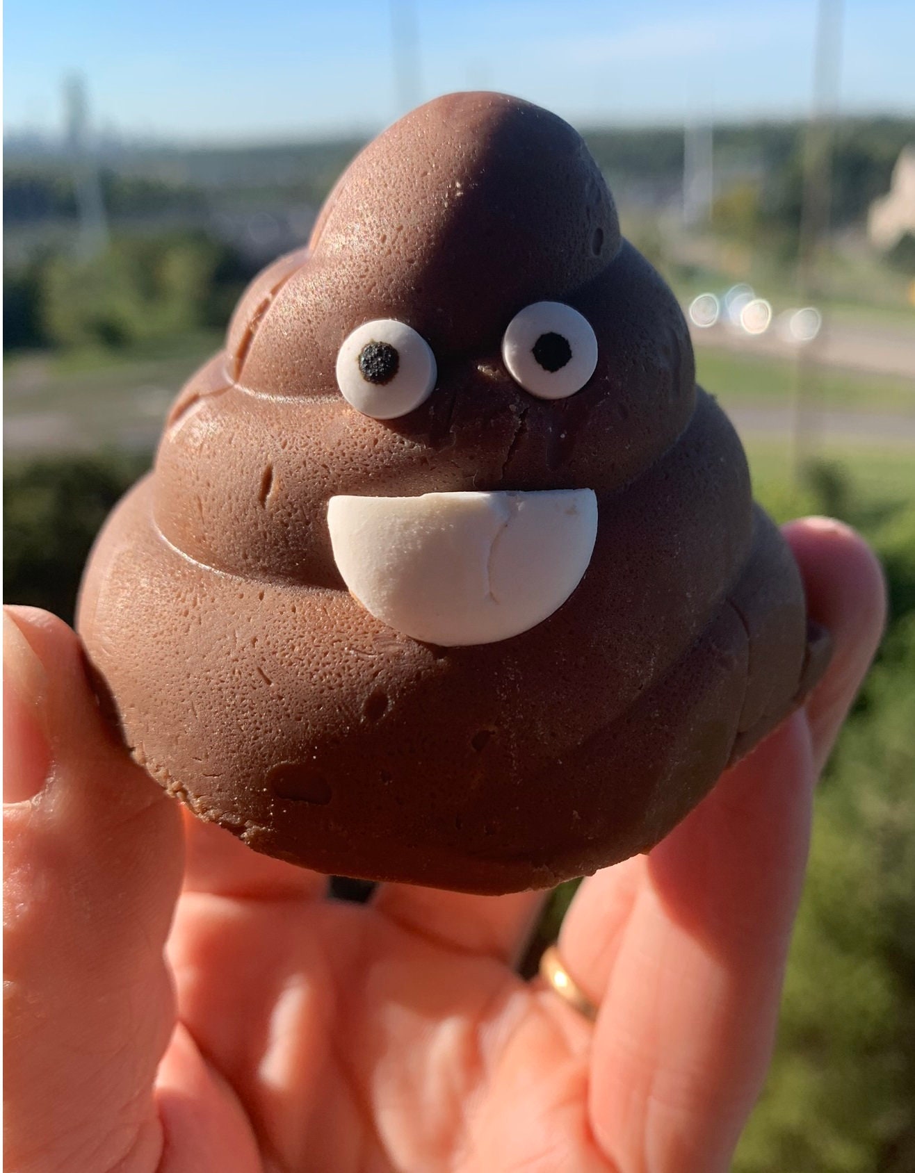 Milk Chocolate Poop Fudge - Etsy