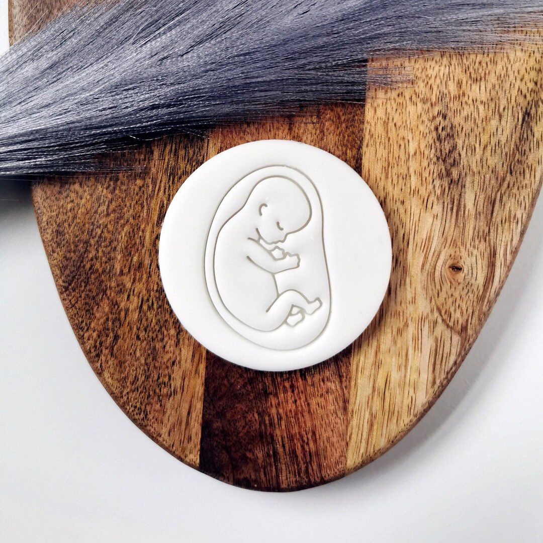 Pregnancy Fetus Fondant Cookie Stamp - Etsy