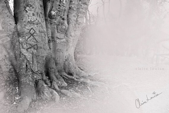 Magical Witches Tree Picture Magical Forest Woodland | Etsy