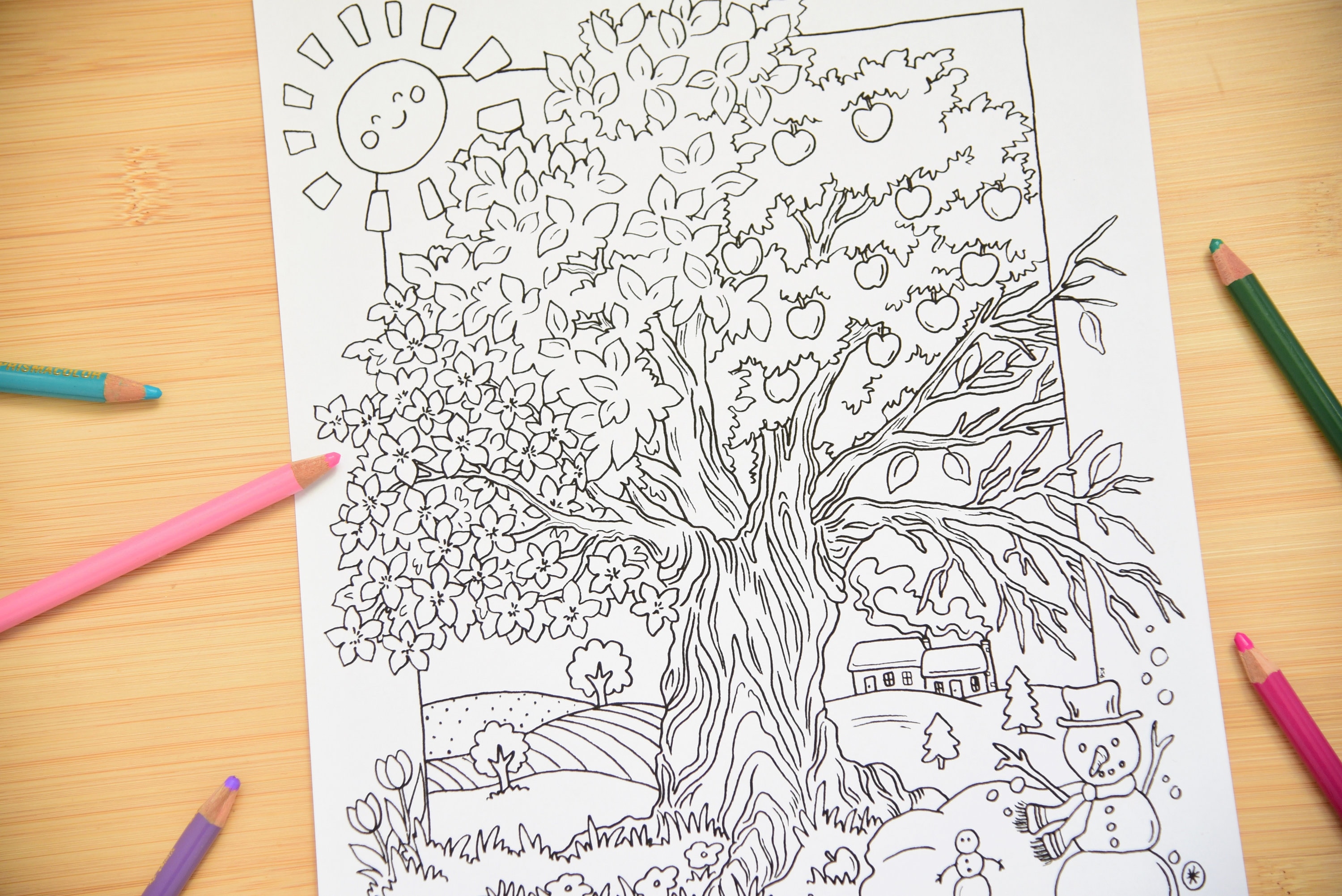 FOUR SEASONS Tree Coloring Page - Printable Page -seasonal Art Coloring ...