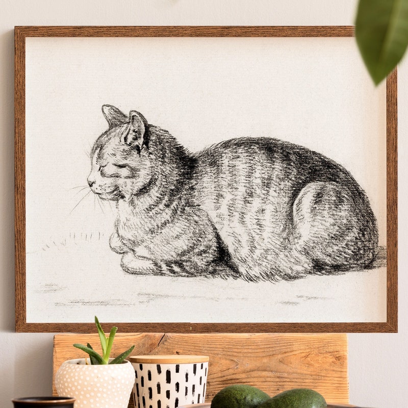 Cat Poster - Etsy