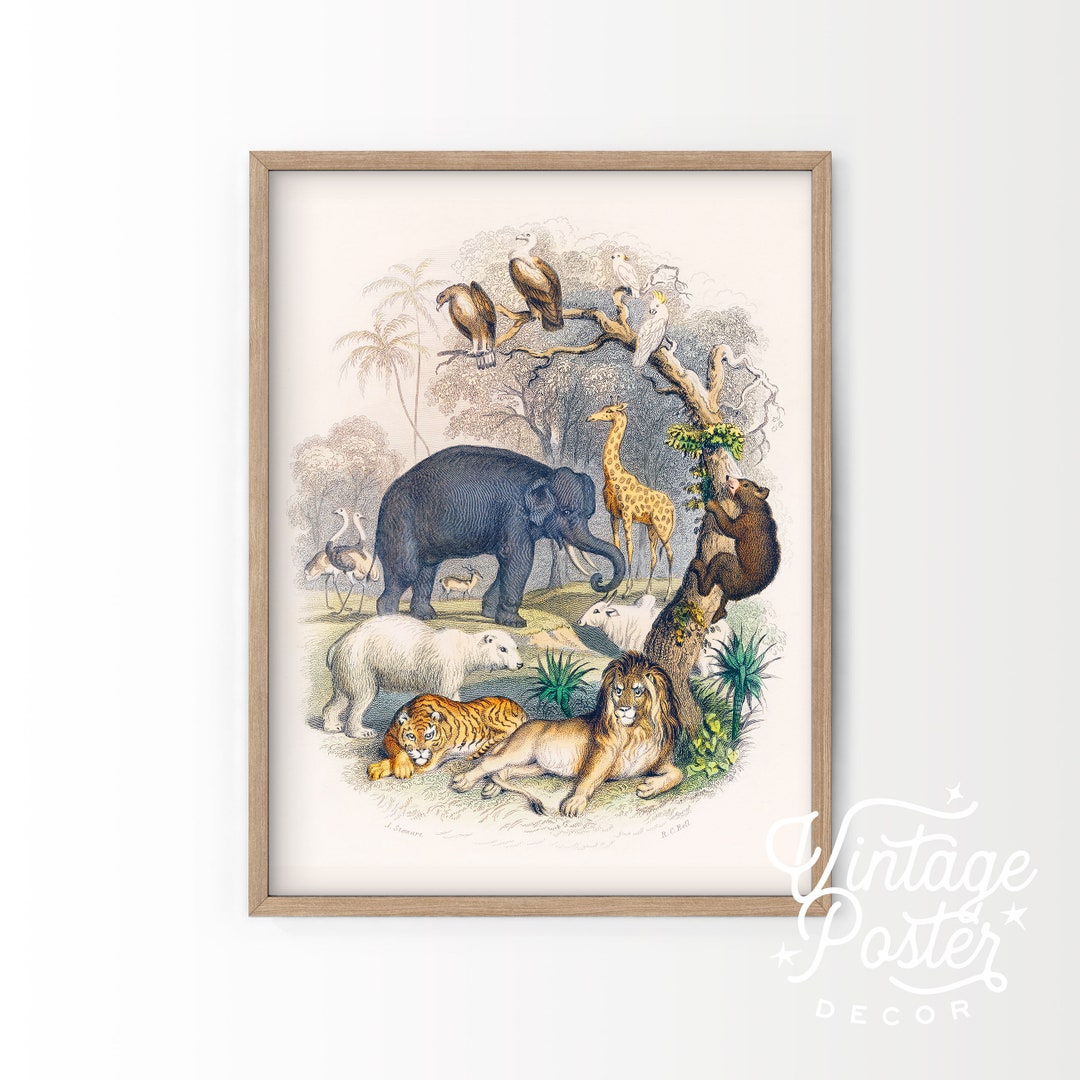 Vintage Safari Animal Print, Nature Wildlife Nursery Decor - Etsy