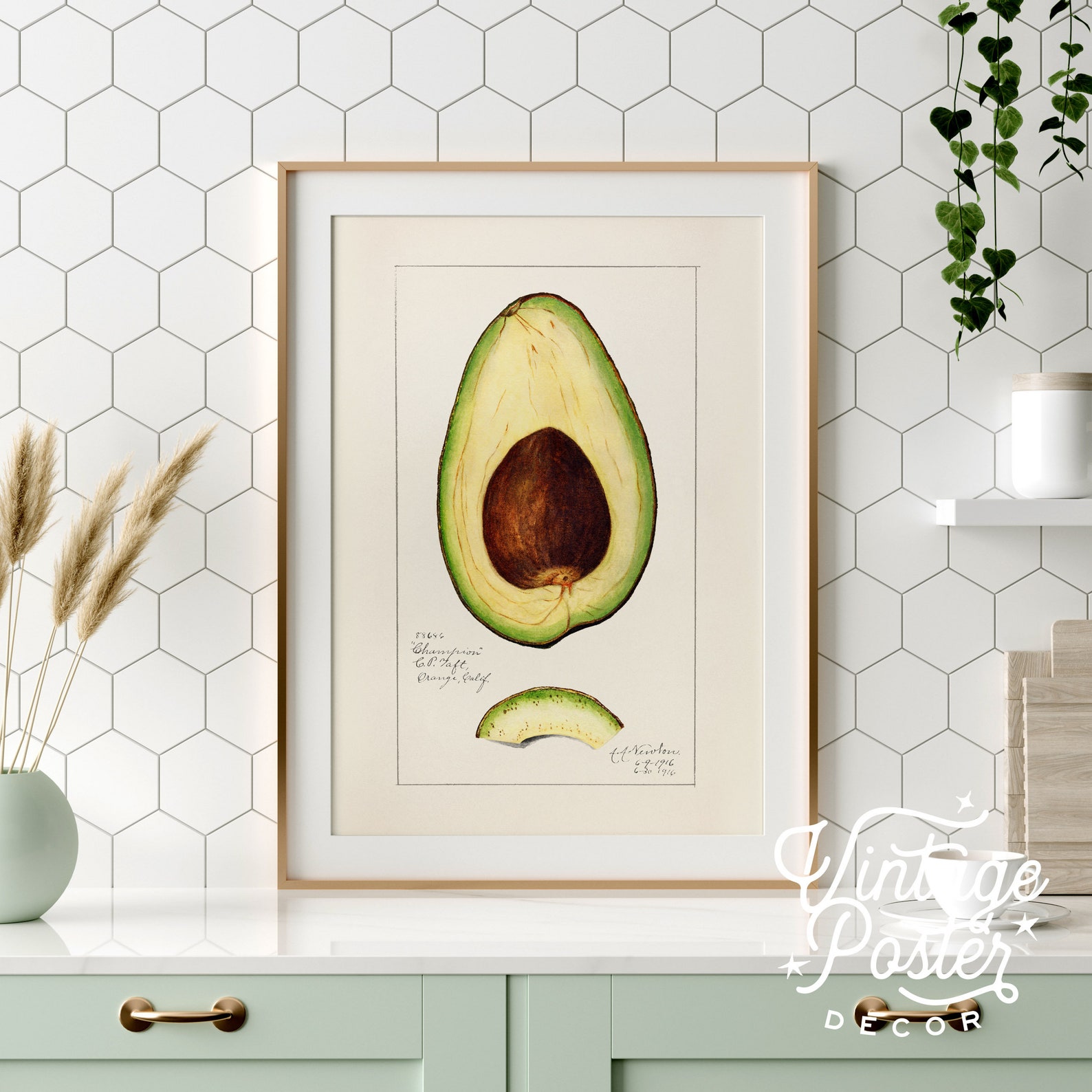 Avocado Print Vintage Avocado Poster Botanical Fruit - Etsy Canada