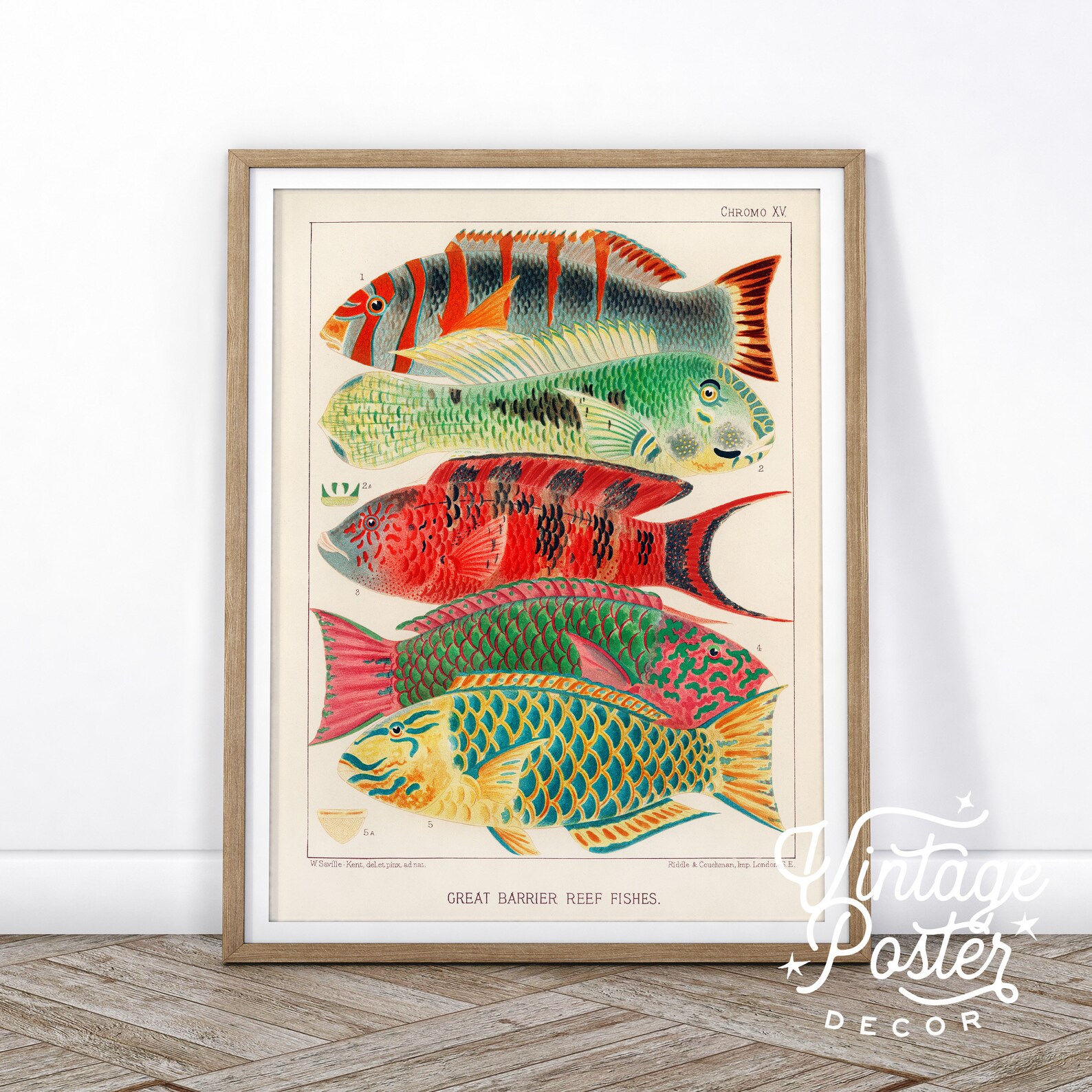 Beach Wall Decor Vintage Fish Poster Ocean Animal Print Sea - Etsy