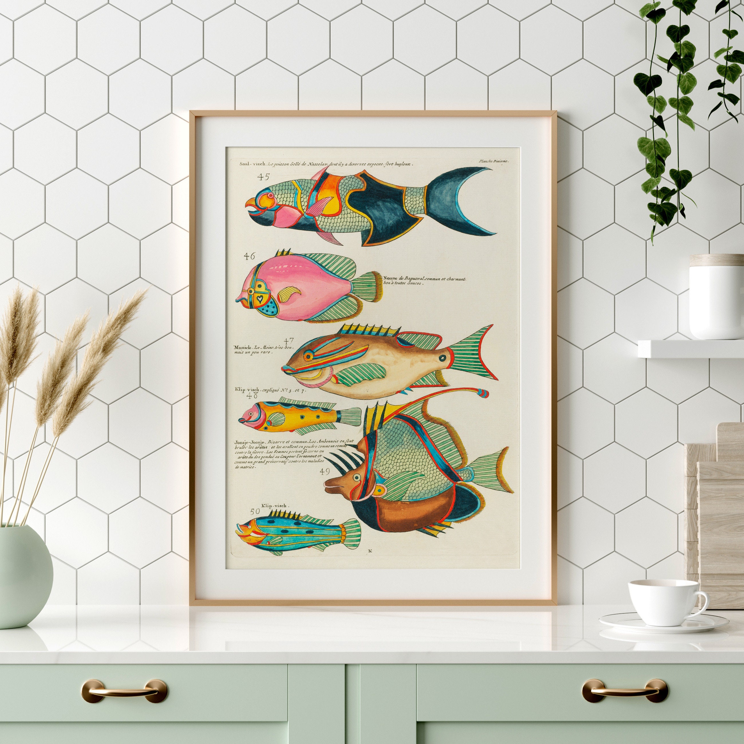 Antique Tropical Fish Art Print | Colorful Marine Life Illustration ...