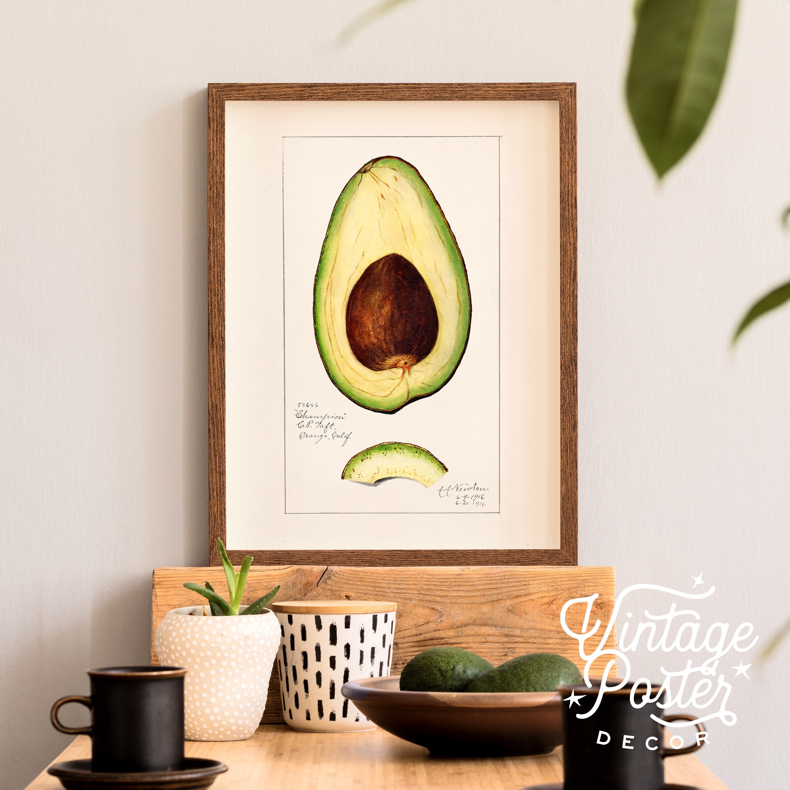 Avocado Print Vintage Avocado Poster Botanical Fruit - Etsy