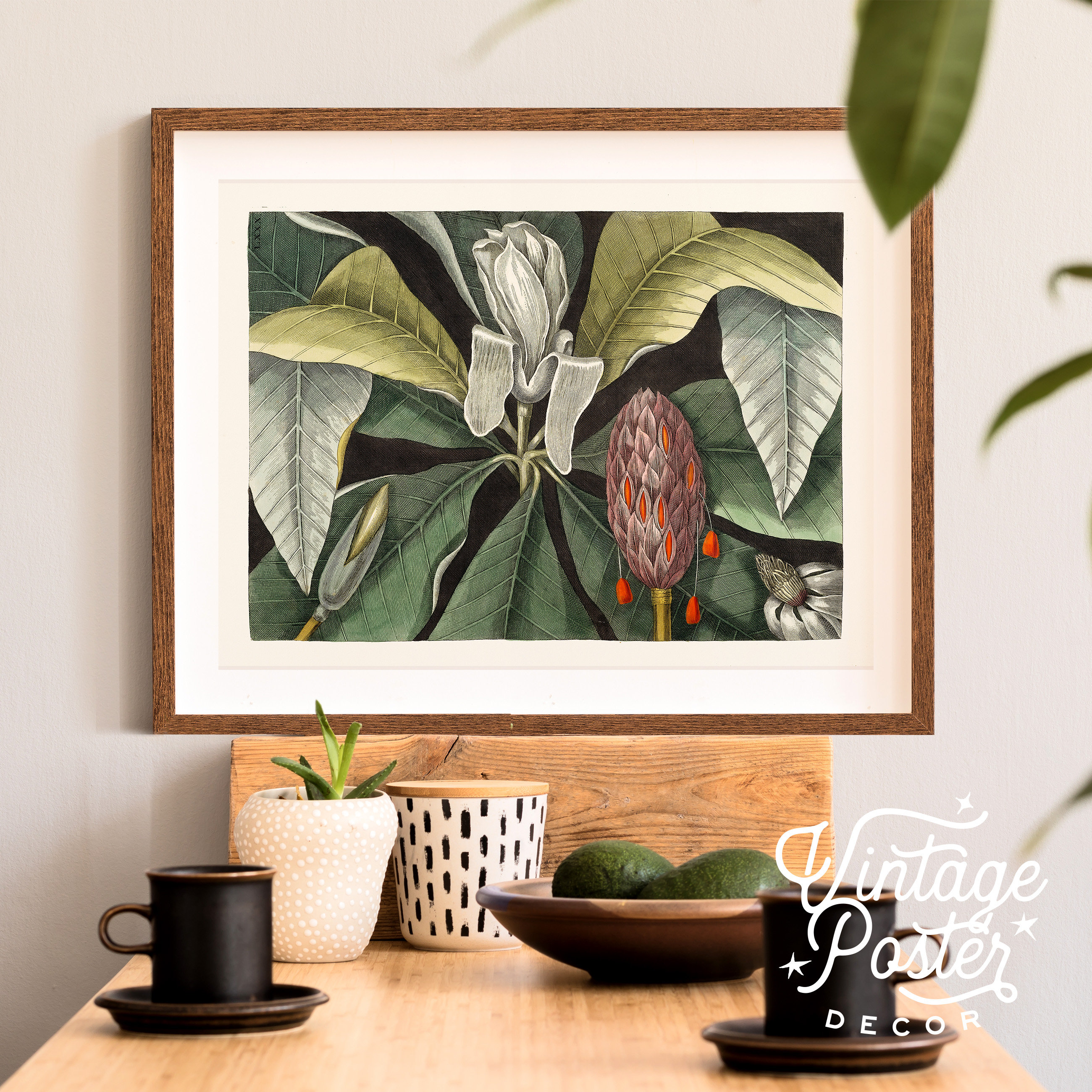 Vintage Plant Print Plant Poster Leaves Leaf Print Tropical | Etsy