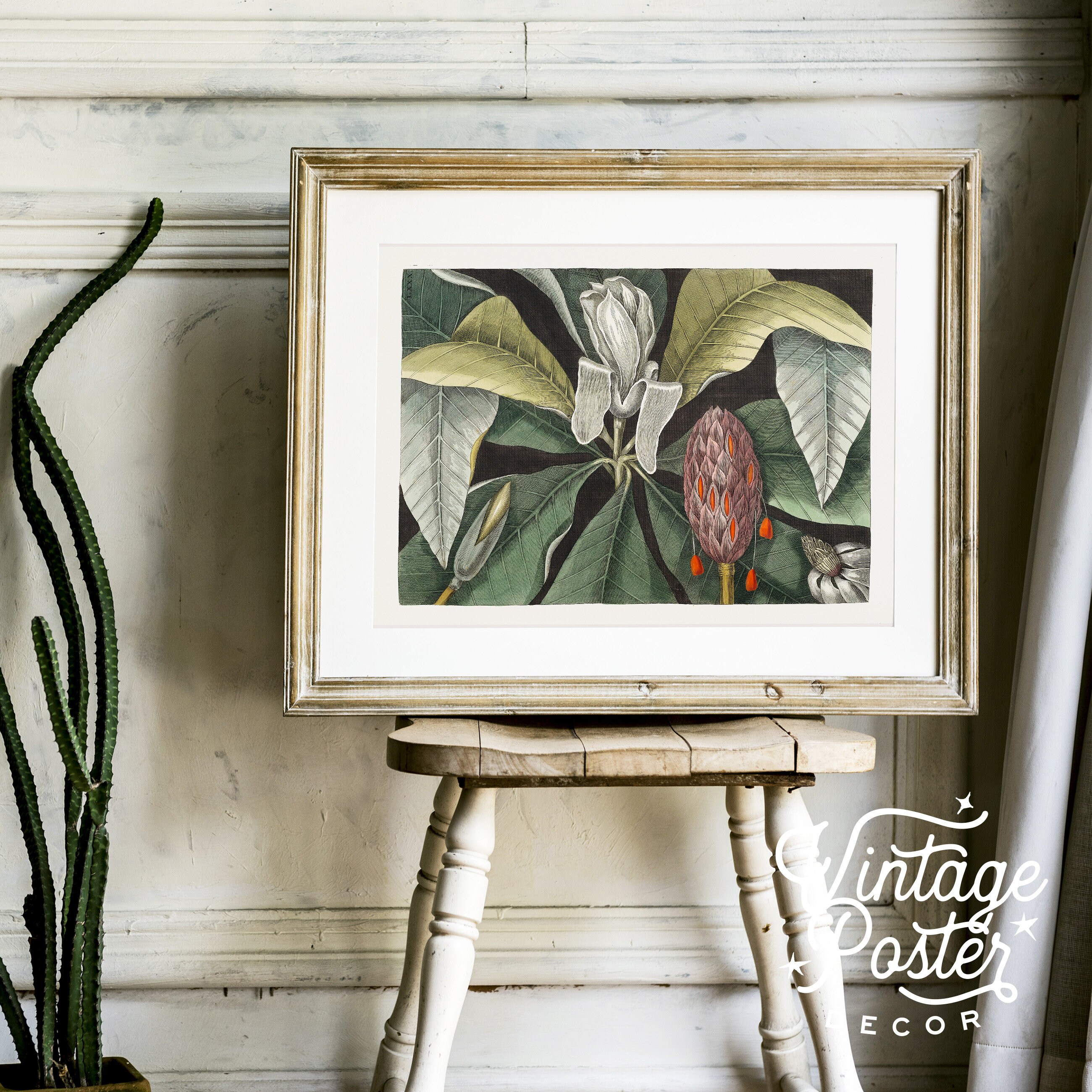 Vintage Magnolia Plant Print, Botanical Wall Art - Etsy