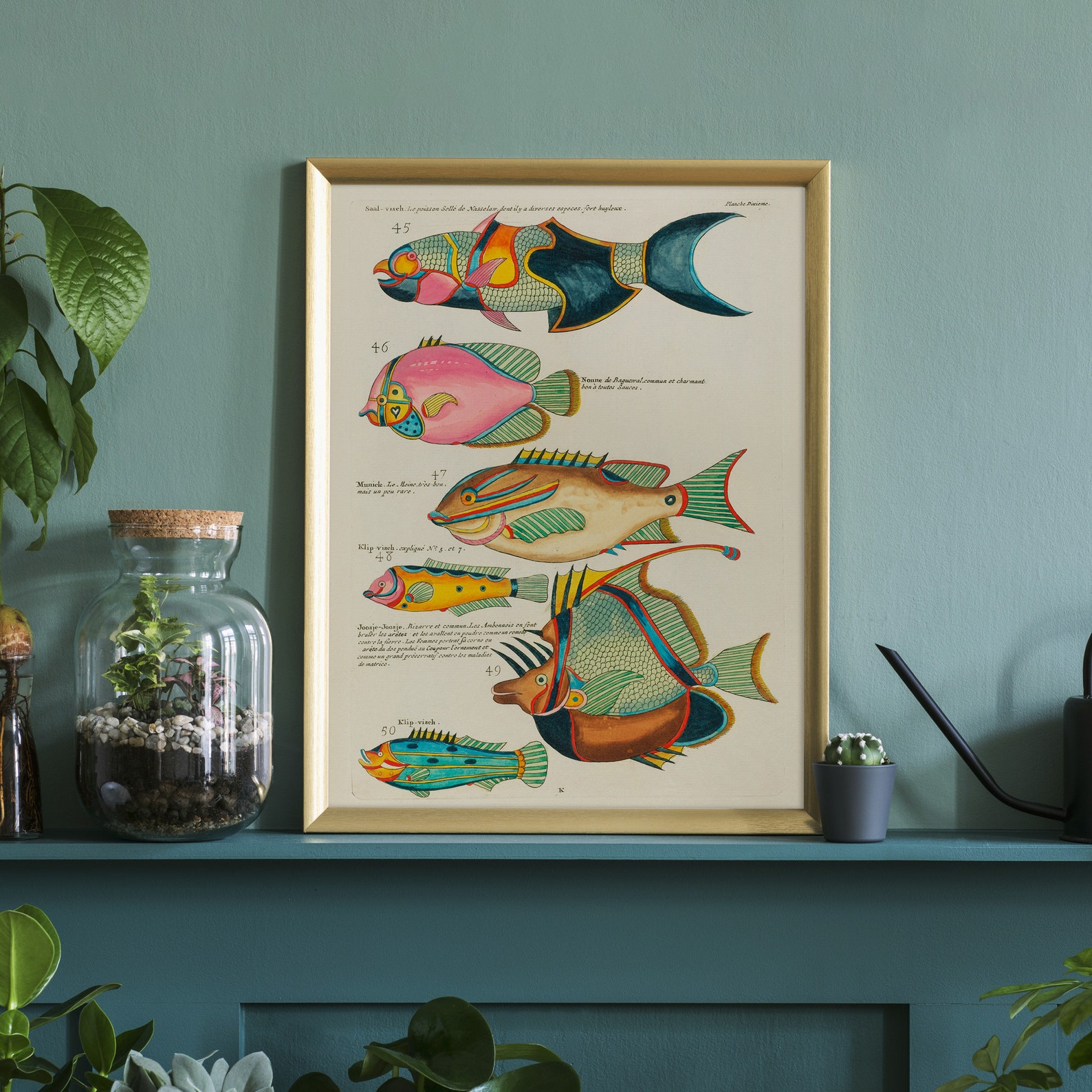 Fish Wall Art Beach Wall Decor Ocean Print Sea Life Print | Etsy