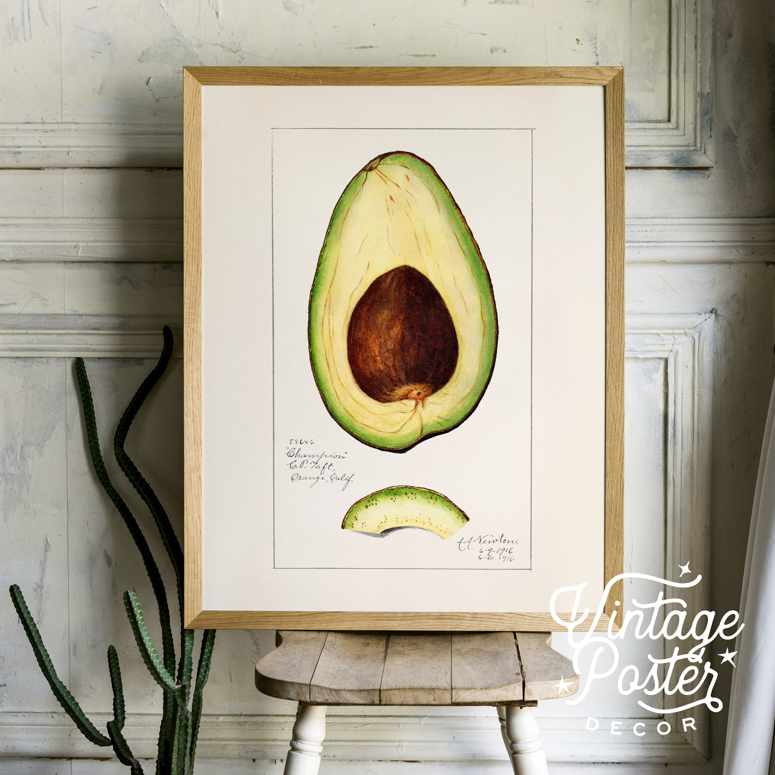 Avocado Print Vintage Avocado Poster Botanical Fruit - Etsy