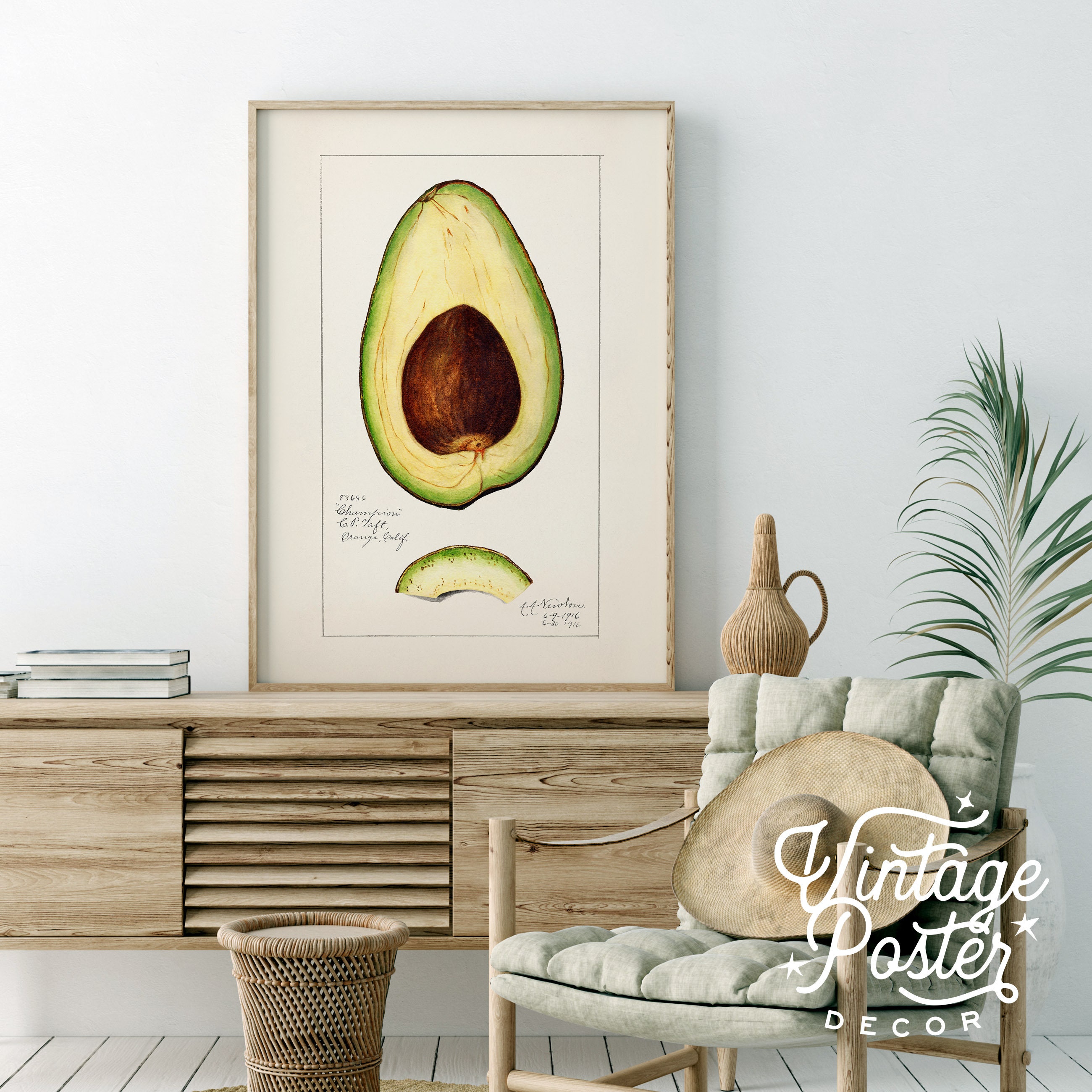 Avocado Print Vintage Avocado Poster Botanical Fruit - Etsy